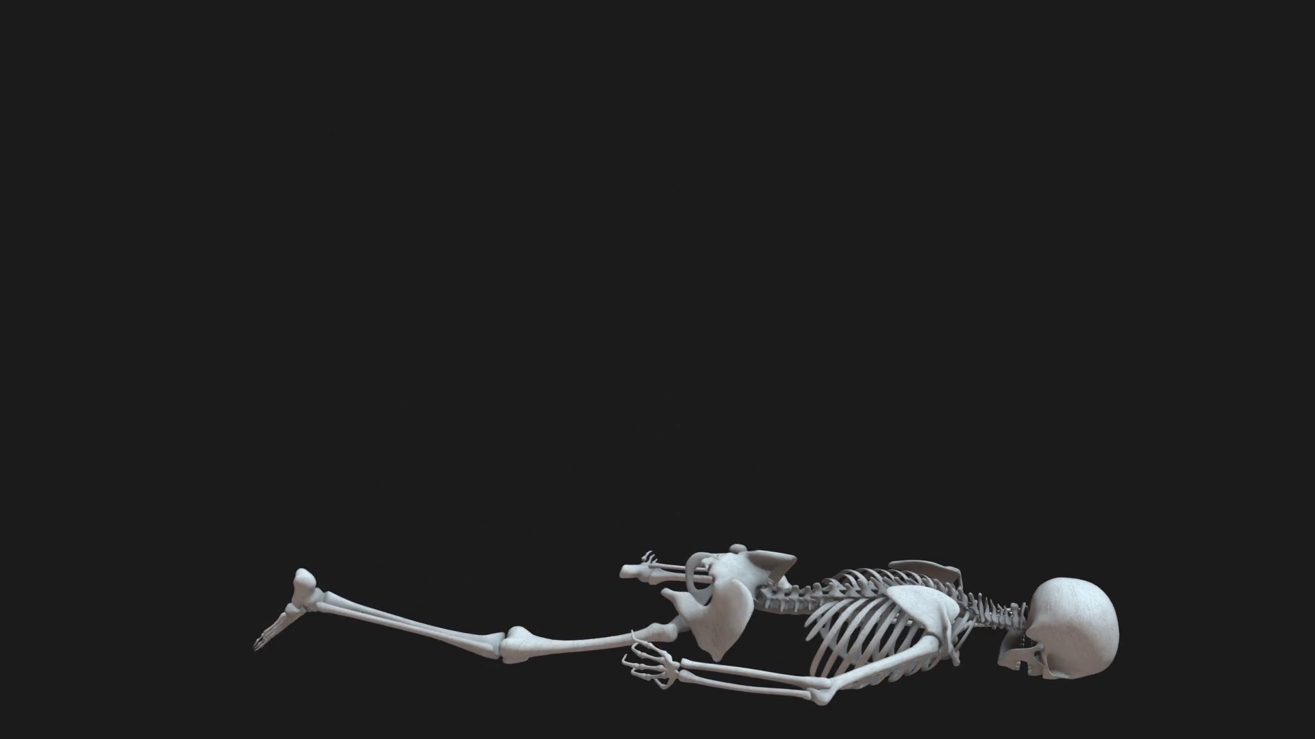 Skeleton Collapse 02 Stock Motion Graphics SBV-351887065 - Storyblocks