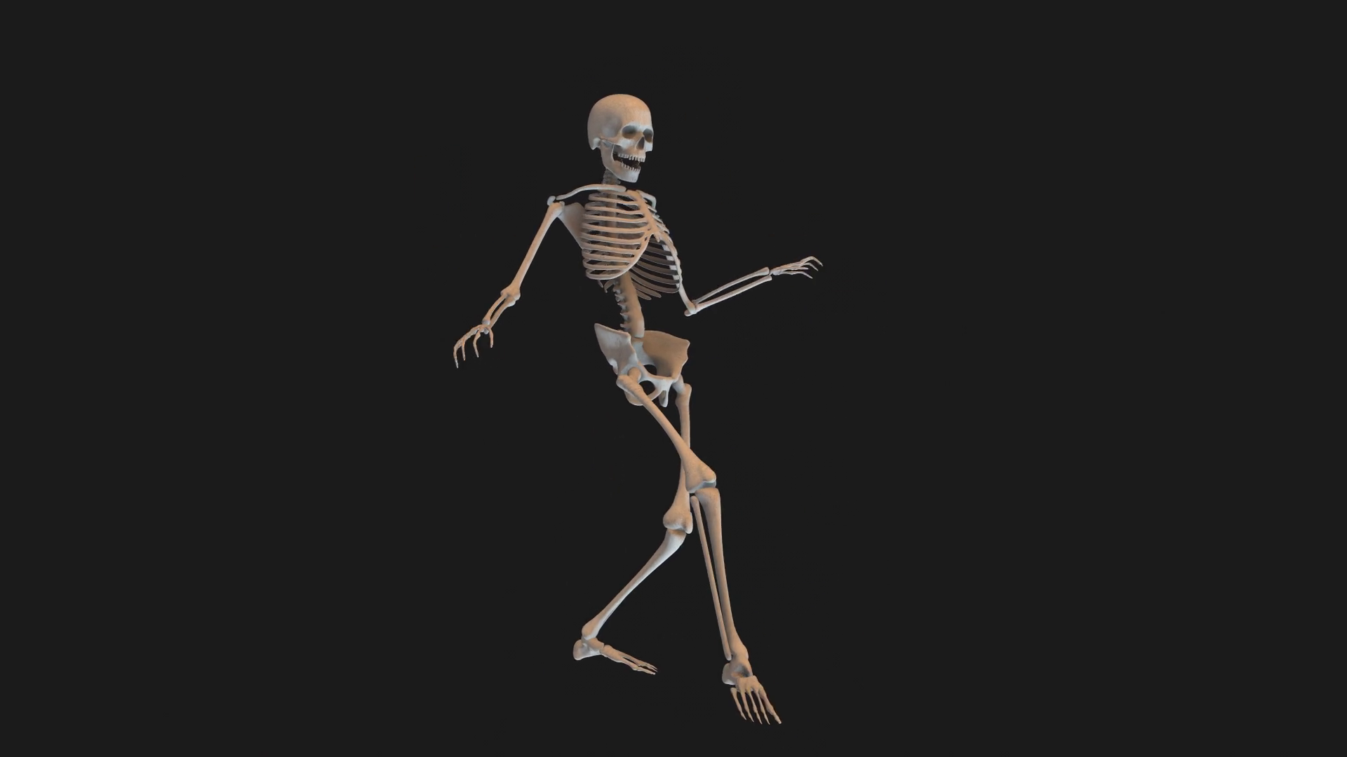 Skeleton Creeping Walk Cycle Loop 02 Stock Motion Graphics SBV-351887161 - Storyblocks
