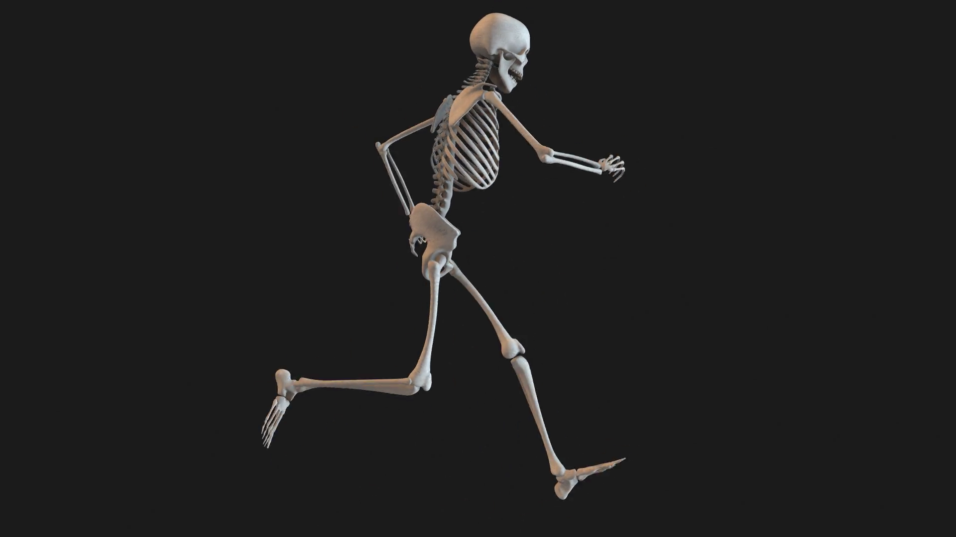 Skeleton Energetic Run Loop 01 Stock Motion Graphics SBV-351887143 ...