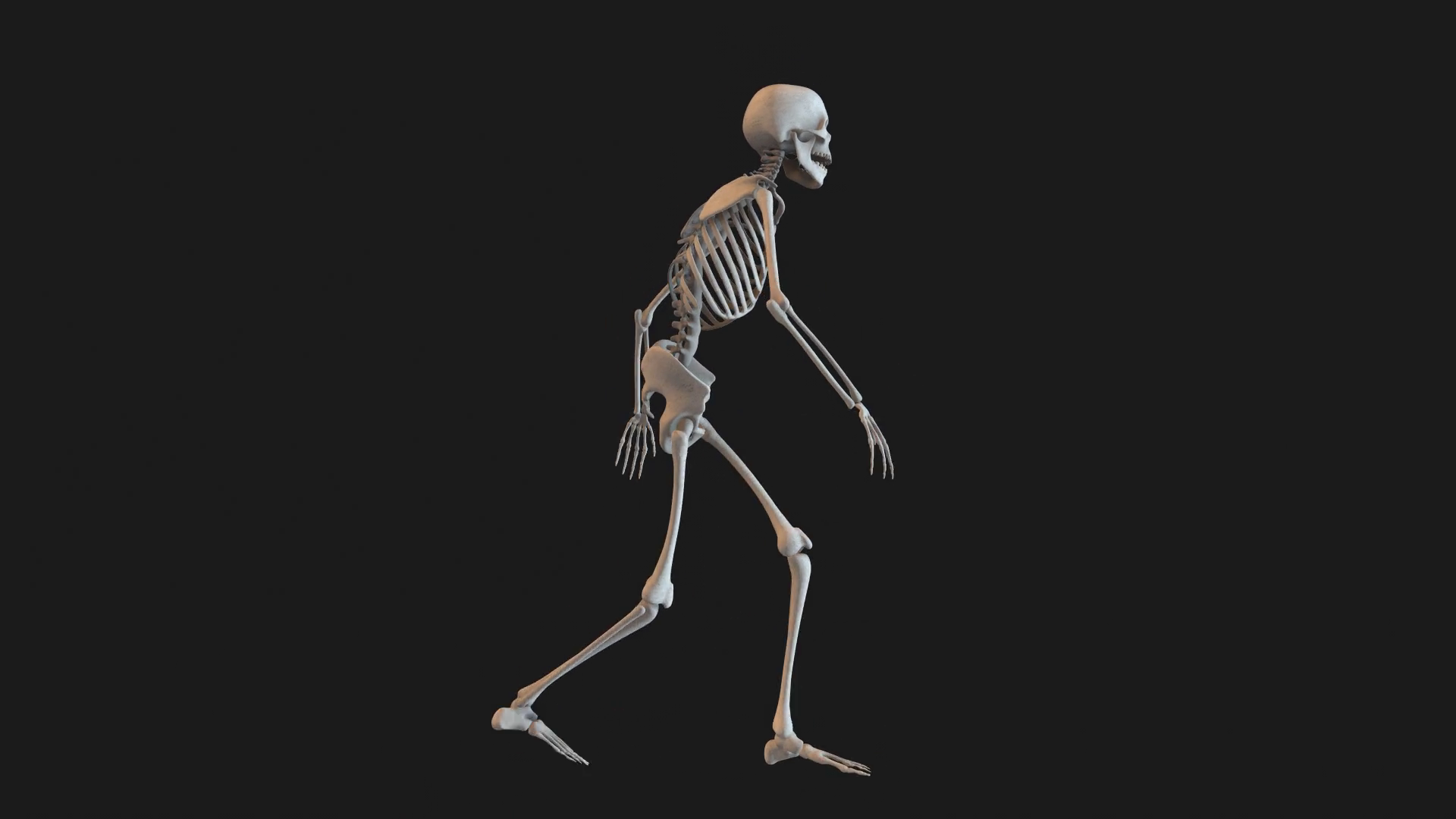 Skeleton Unsteady Walk Cycle Loop 01 Stock Motion Graphics SBV-351887162 - Storyblocks