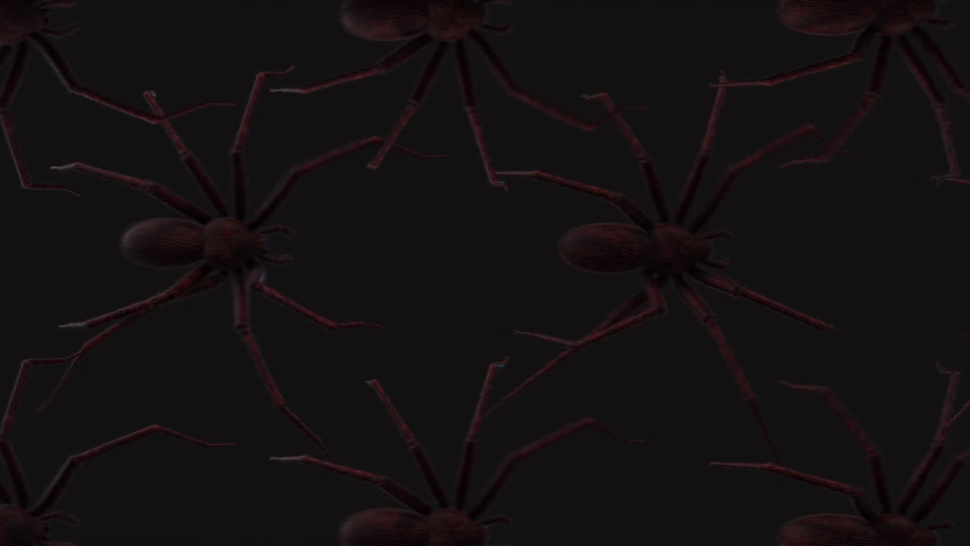 Spiders Crawling Across Loop Stock Motion Graphics SBV-351887326 ...