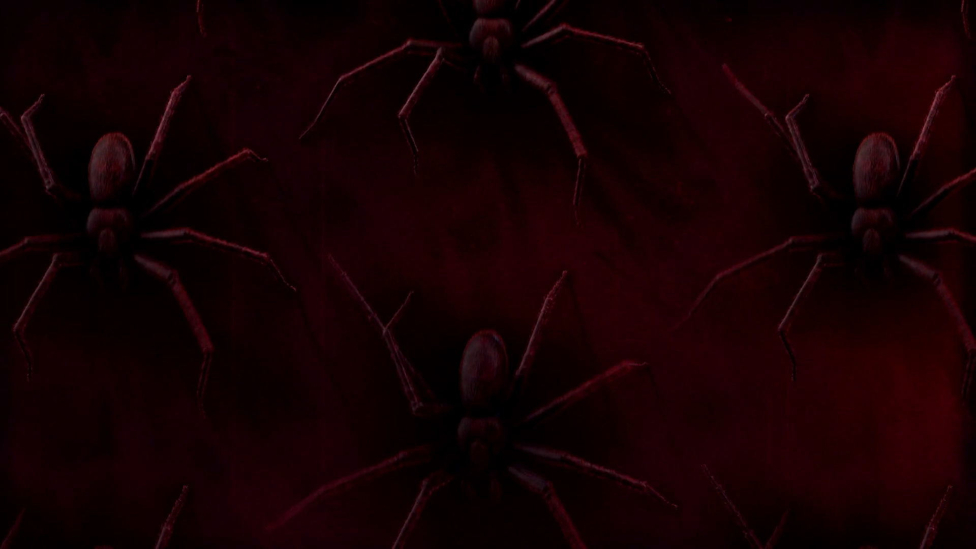 Spiders Crawling Down Background Stock Motion Graphics SBV-351887379 ...