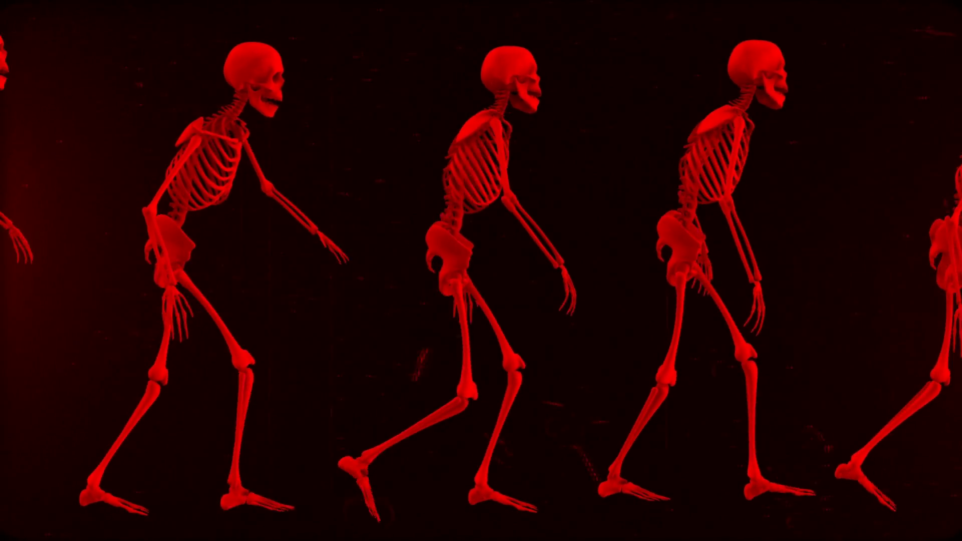 Walking Skeletons Background Loop Stock Motion Graphics SBV-351887224 ...