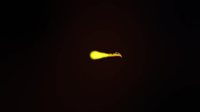 "Pixel Logo Animation" Logo Reveal Templates Royalty-Free - Storyblocks