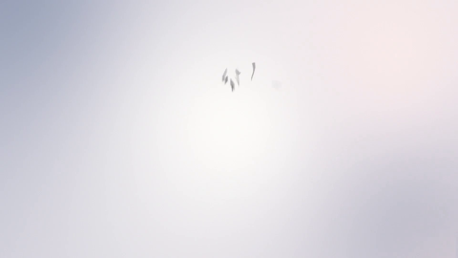 Logo Slices Animation 00:08 SBV-307862178 - Storyblocks