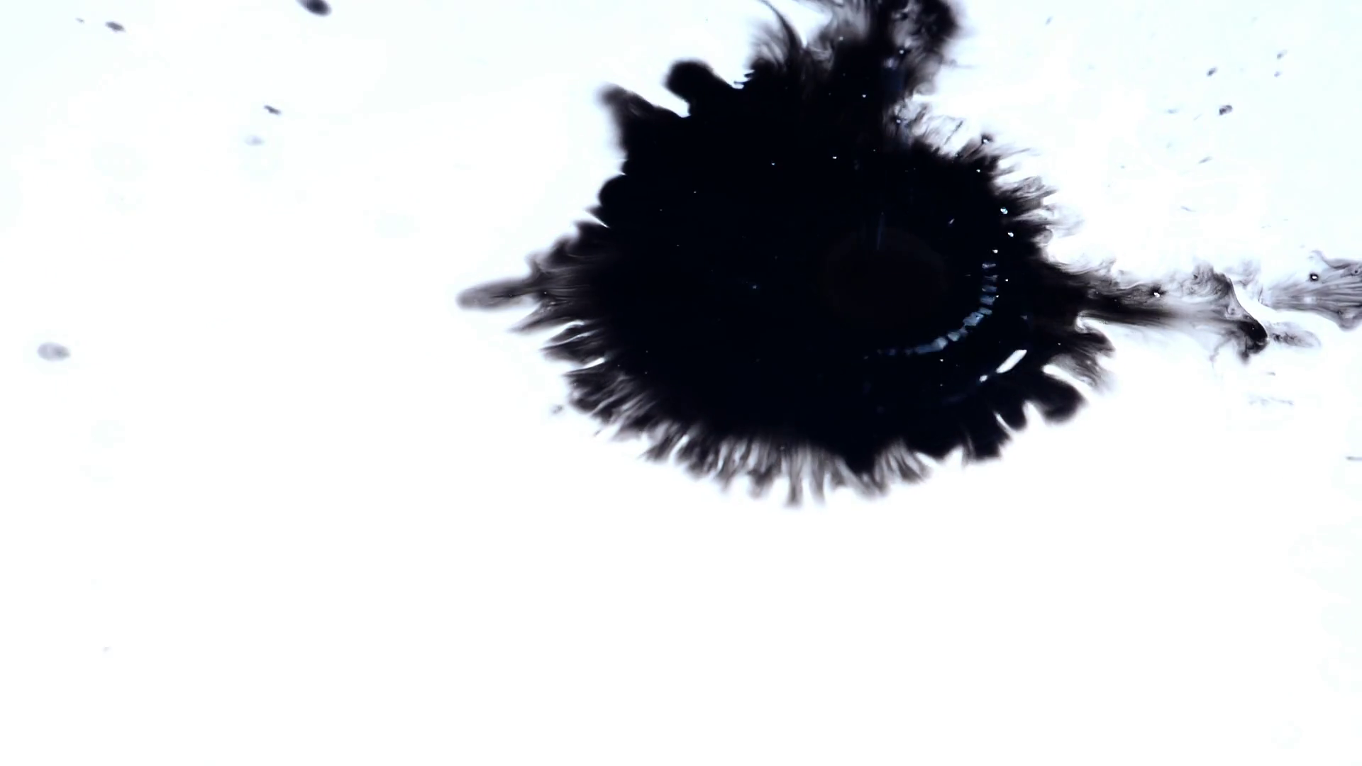 Ink Blot Spreading On White Background Stock Footage SBV-346392273 ...
