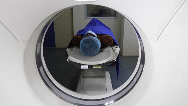 Ct Scan | Animals stock footage - Storyblocks