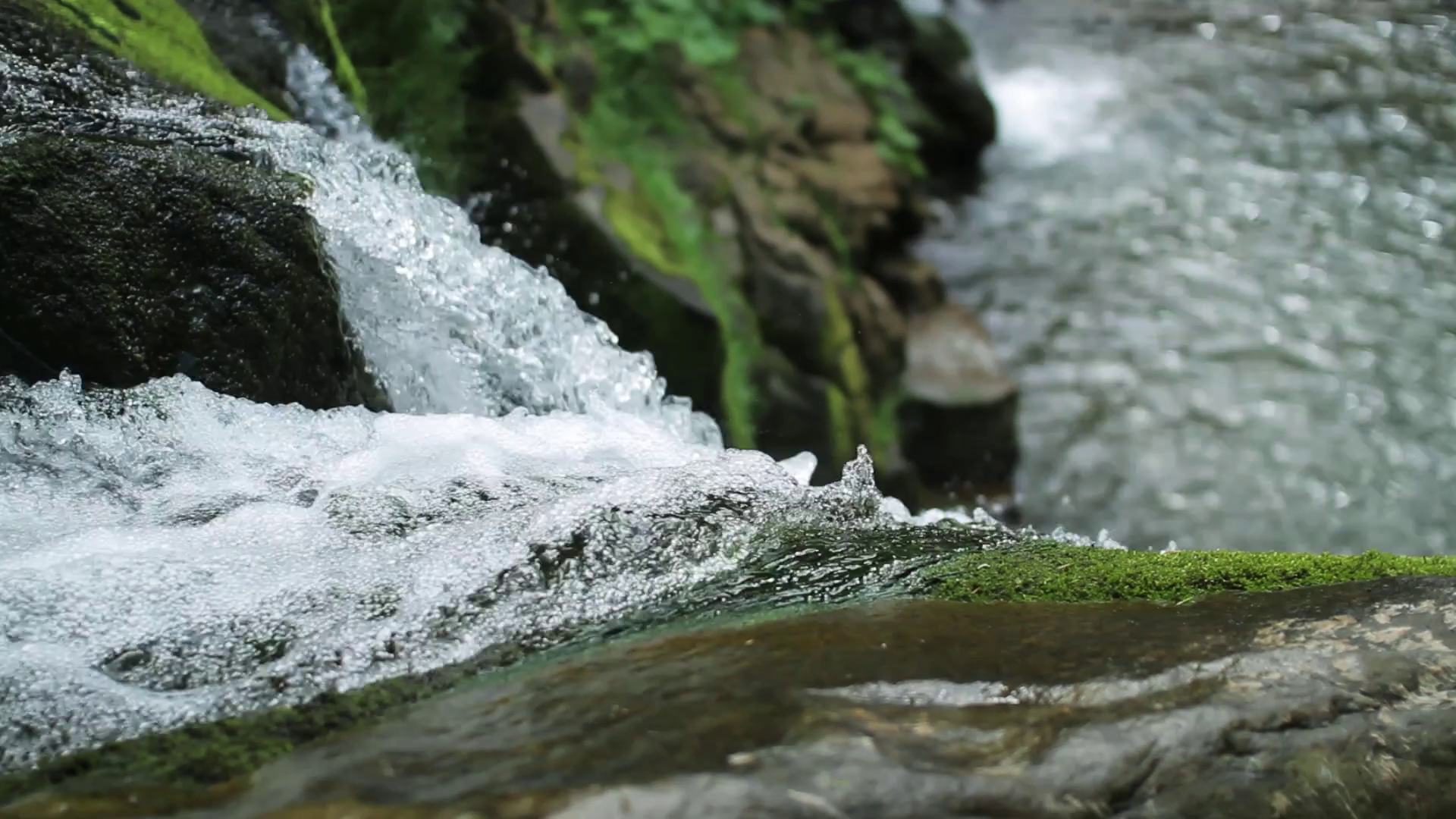 Serene Forest Stream Flows Through Lush Stock Footage SBV-329726409 ...