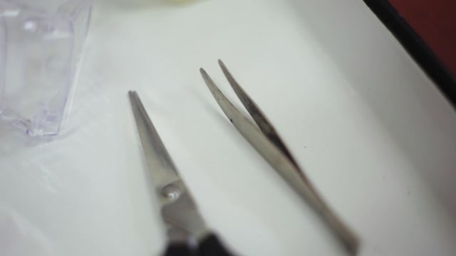 Artery Forceps Stock Footage: Royalty-Free Video Clips - Storyblocks