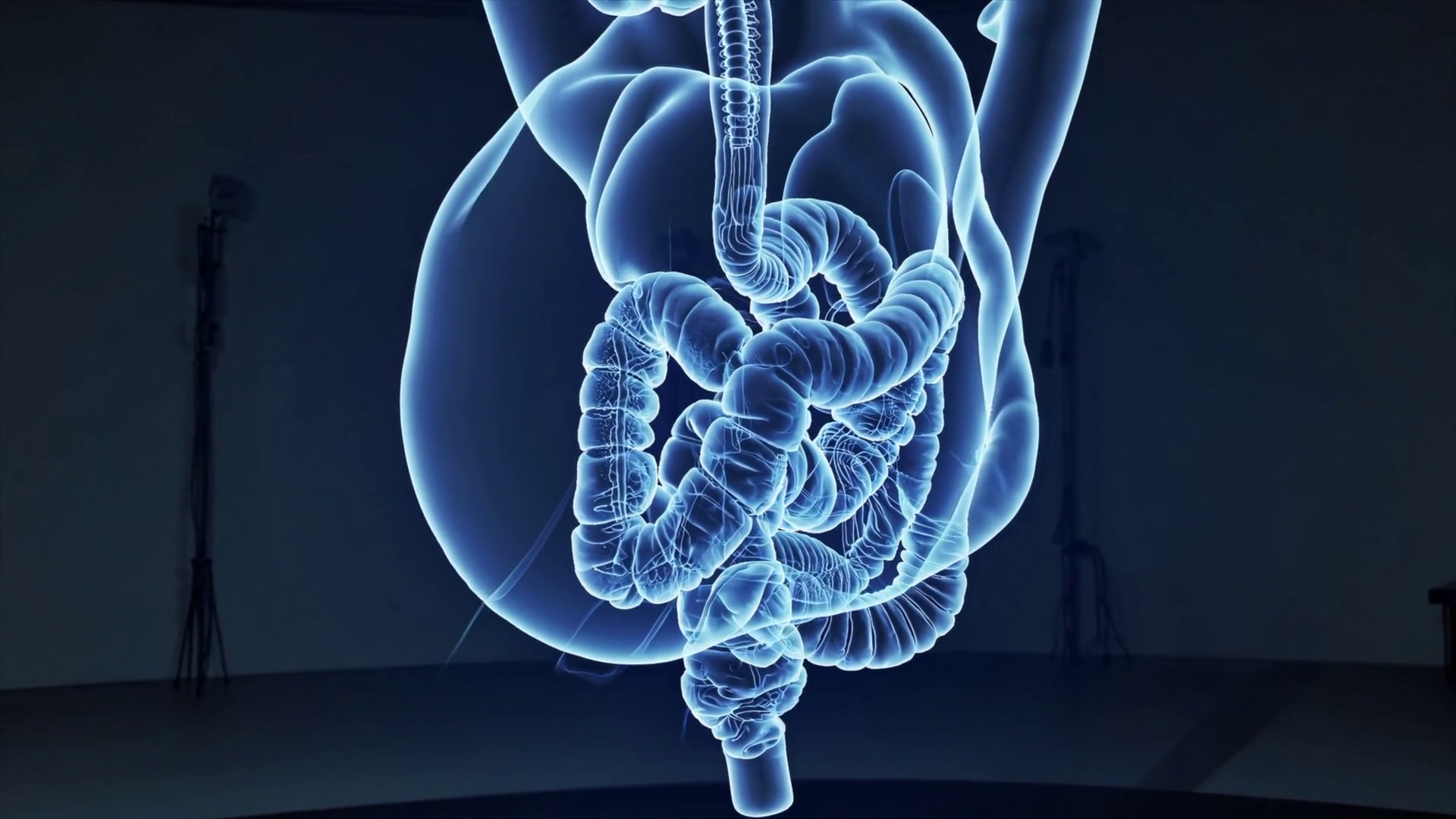 Human Gut Digestive System Animation | Stock Footage SBV-351972500 ...