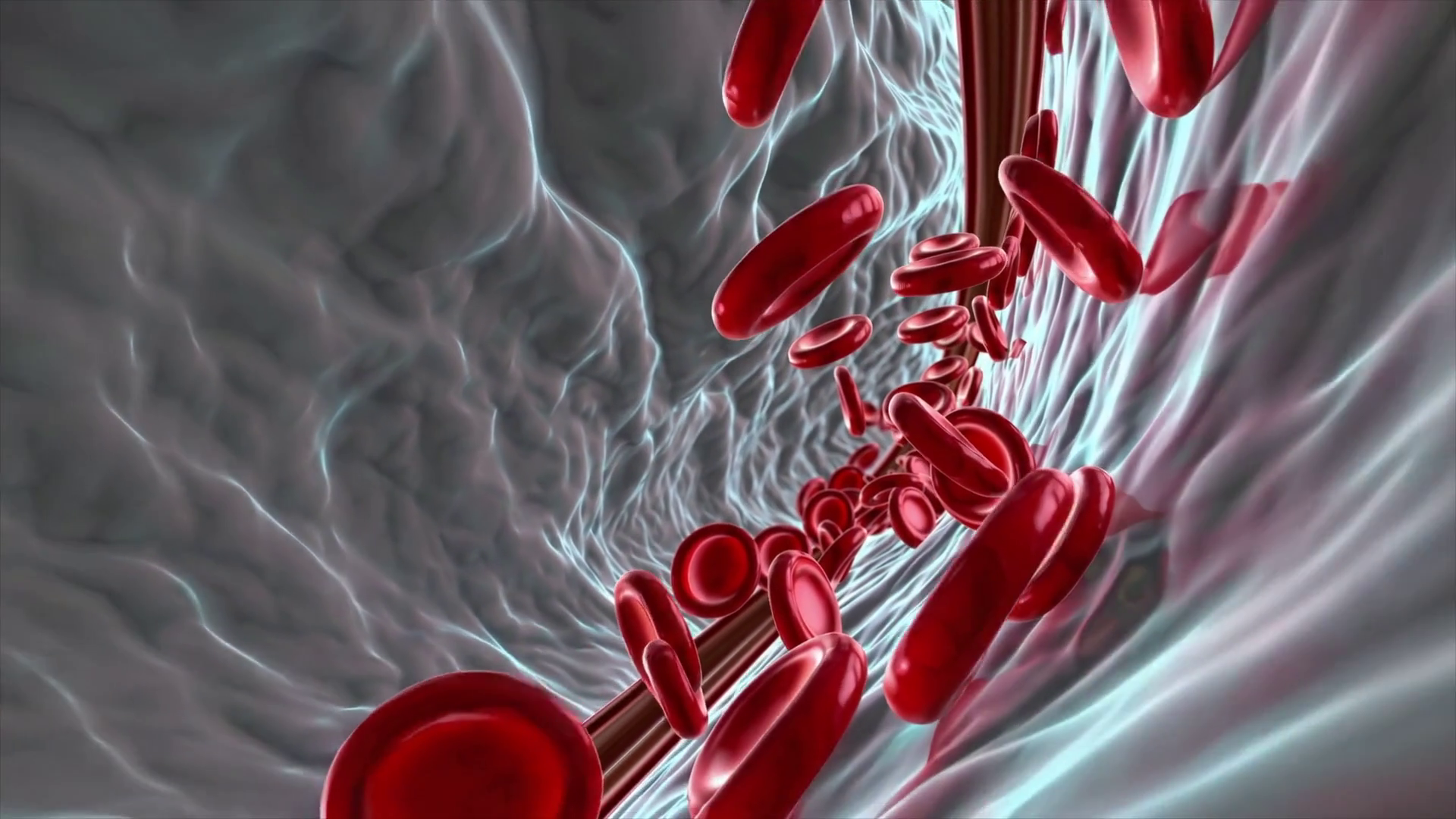 Red White Blood Cells In Bloodstream Stock Footage SBV-351972510 ...