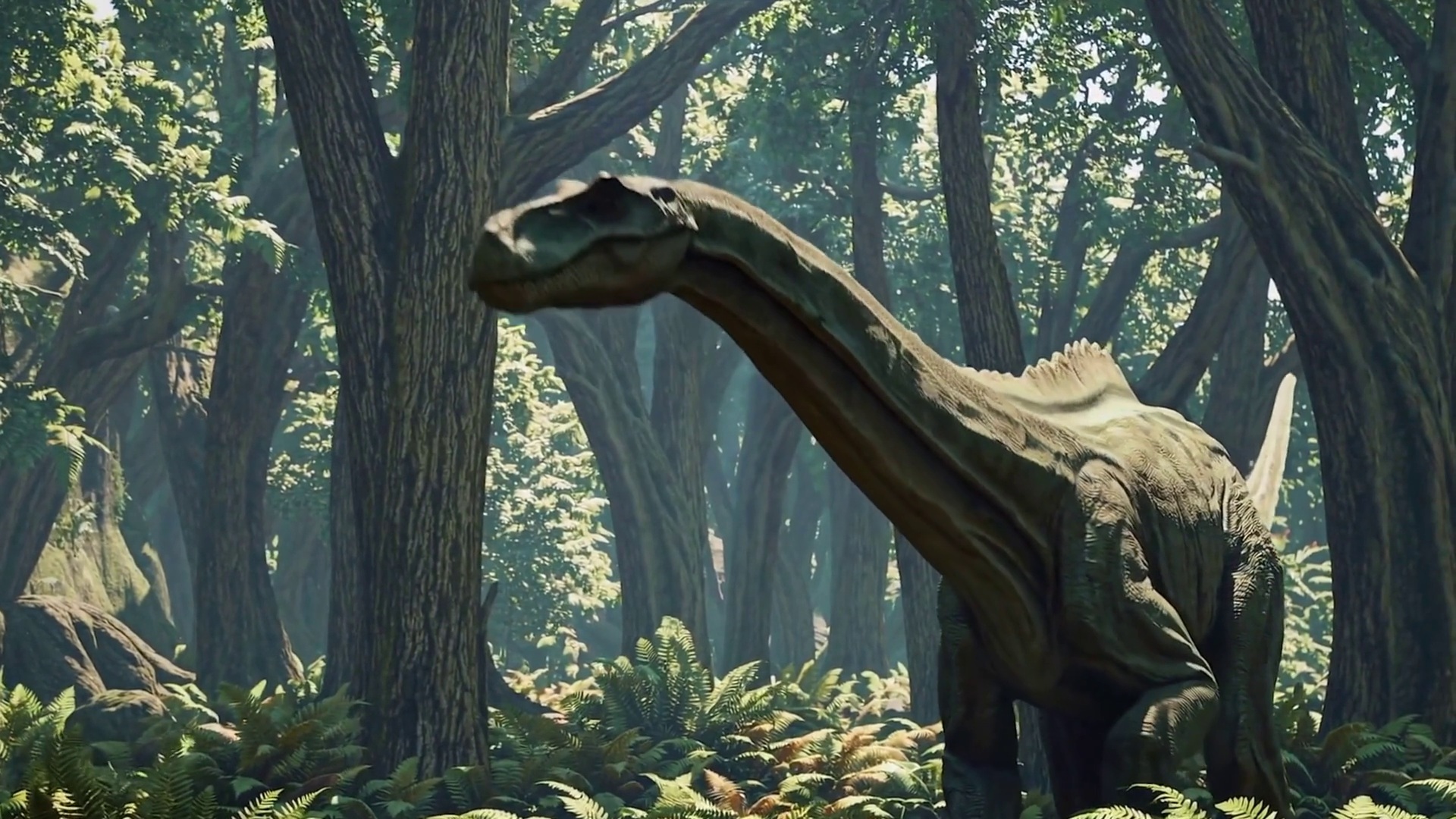 Brontosaurus Herd Grazing In Primeval Forest Stock Footage SBV ...