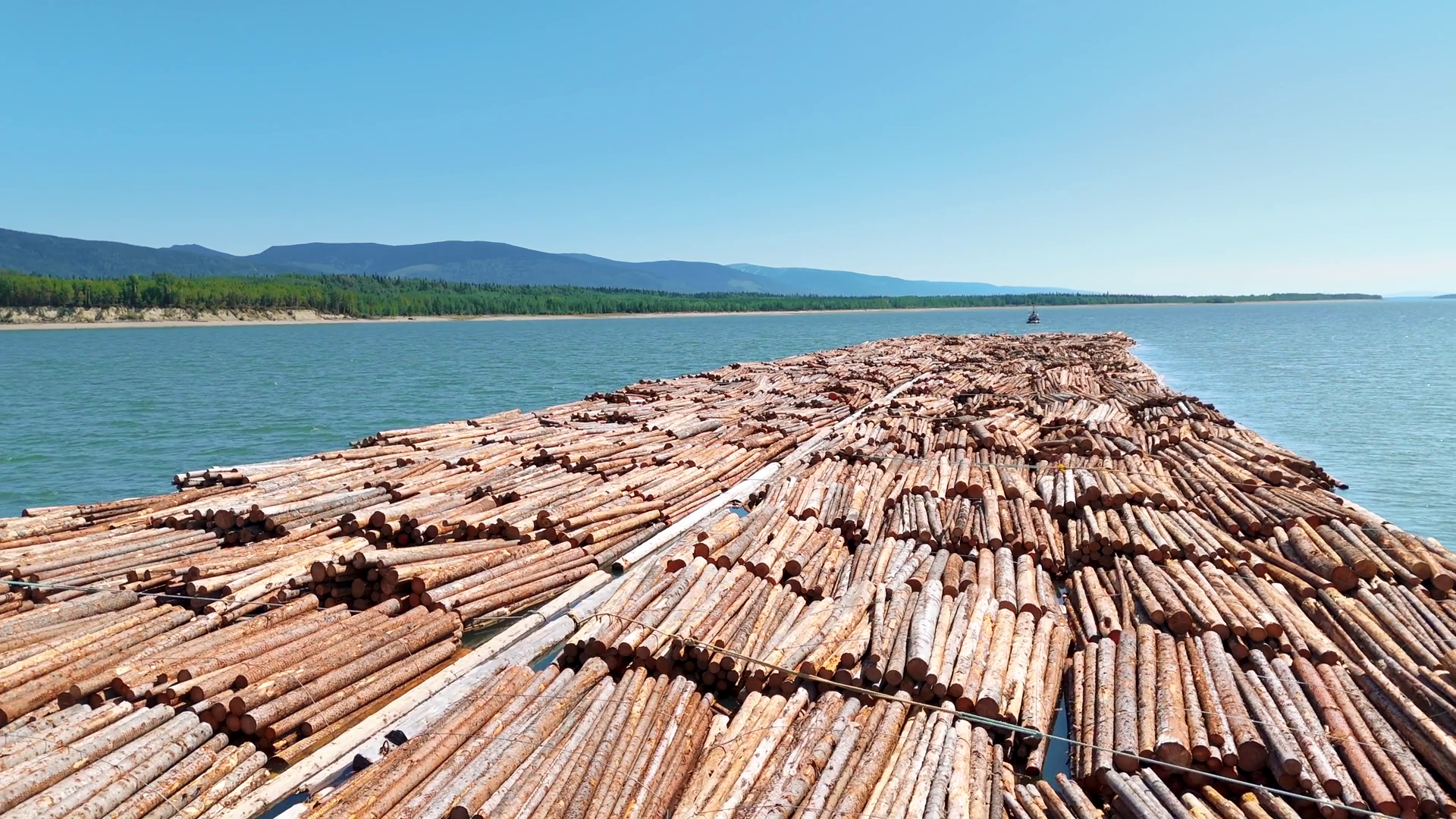 Logging Raft Lumber Economic Construction Stock Footage SBV-351912087 ...