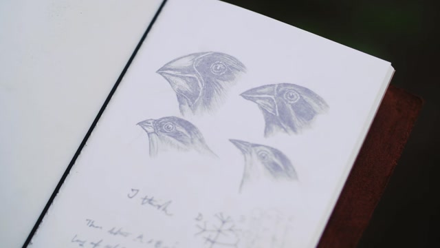Charles Darwin Stock Footage: Royalty-Free Video Clips - Storyblocks