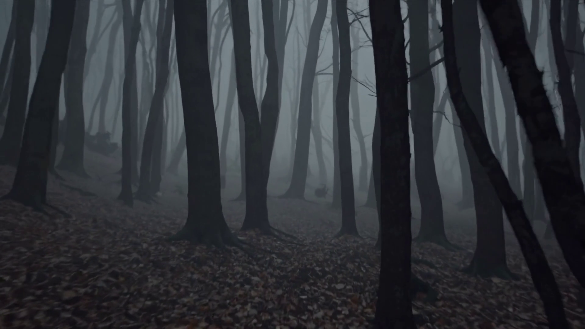 Haunted Forest Foggy Trees Erie Spirits Stock Footage SBV-351996316 ...