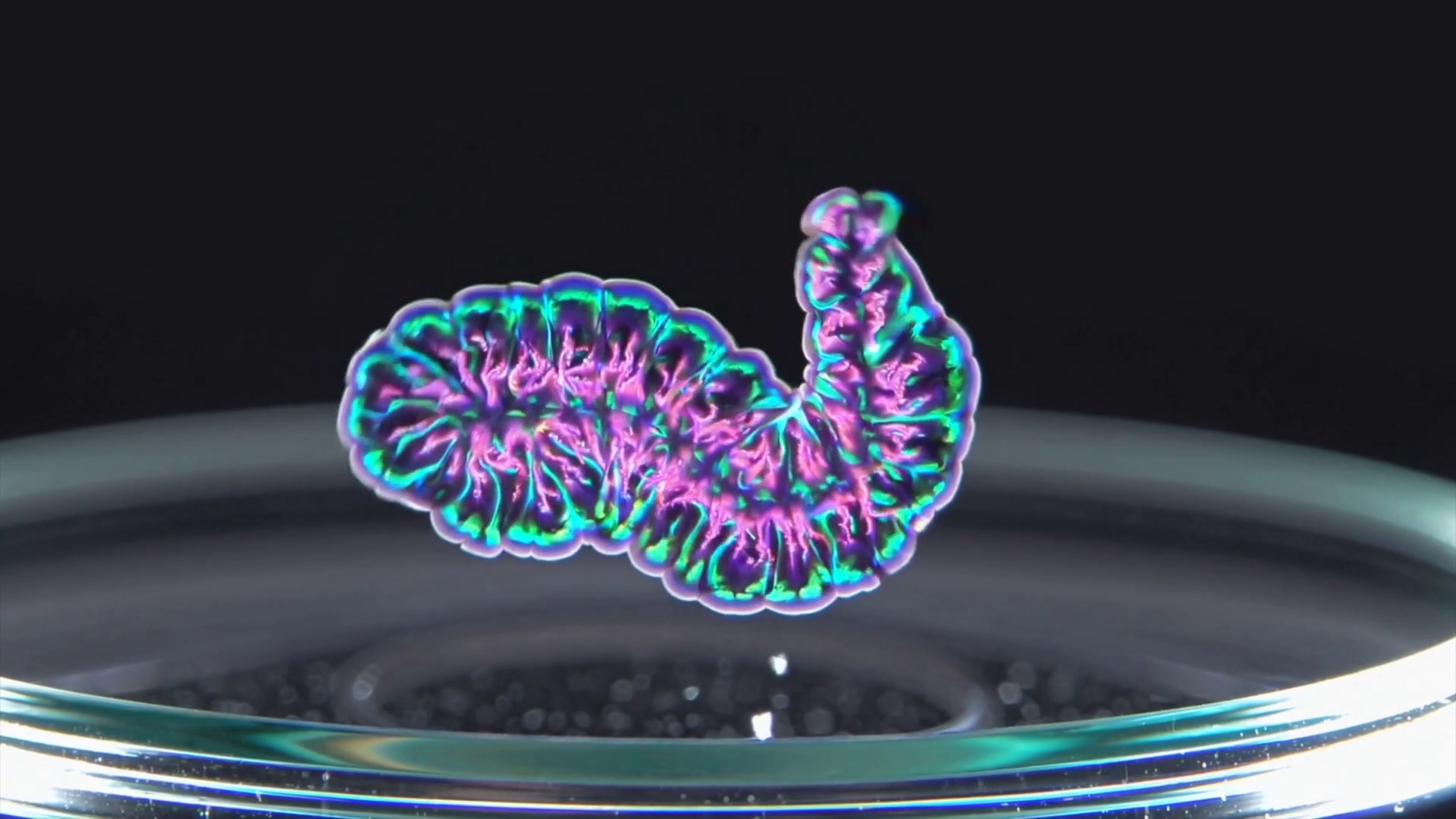 Hodgkin Lymphoma Tumor Growth Animation | Stock Footage SBV-351973544 ...