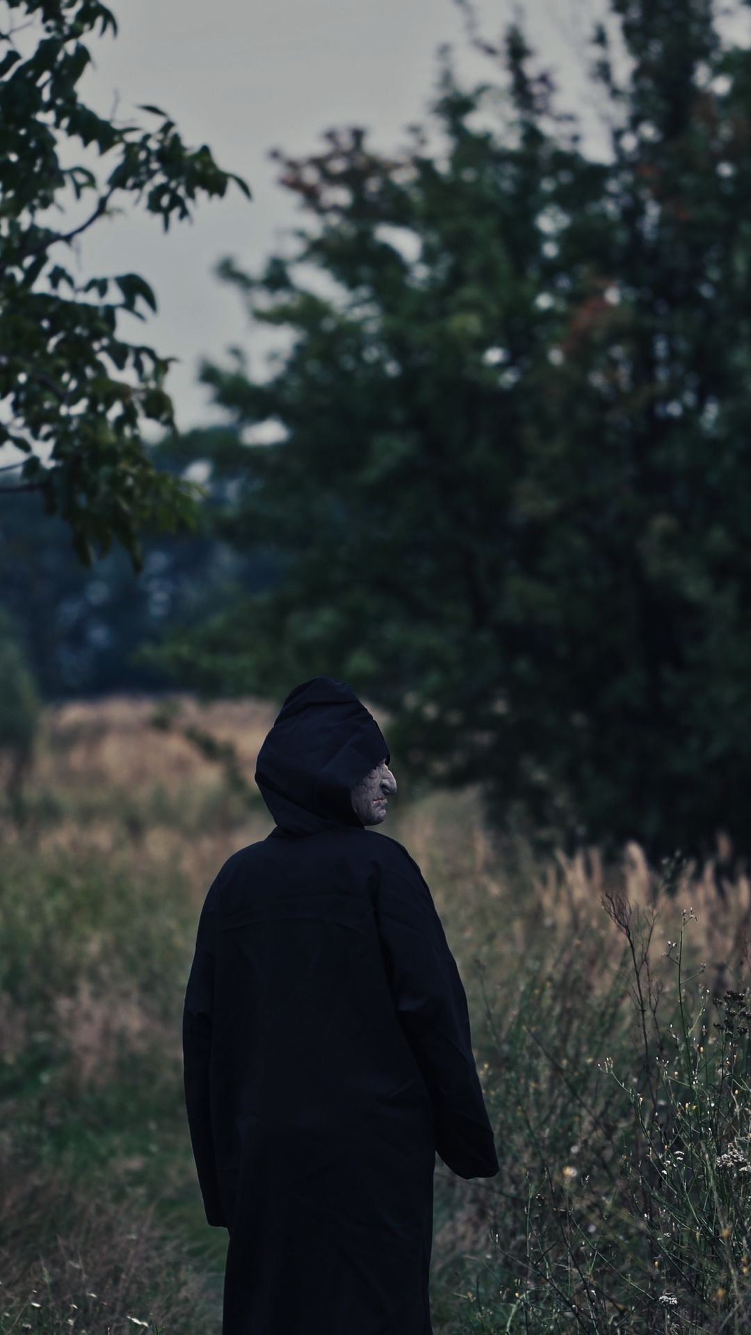 Field With Ghost In Countryside Spooky Field Stock Footage SBV ...