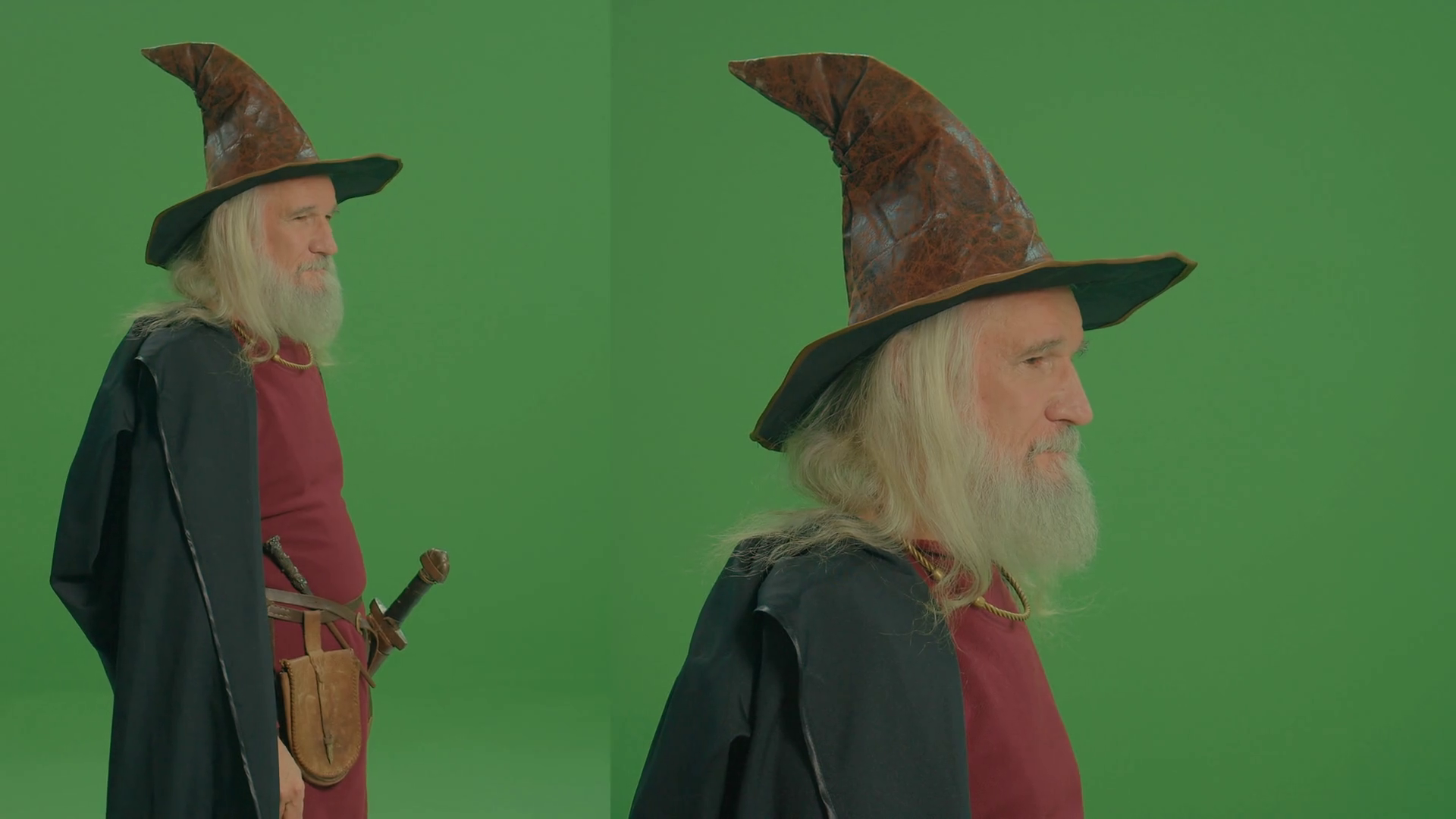 2-in-1 Split Green Screen Montage Portrait Stock Footage SBV-348827628 ...