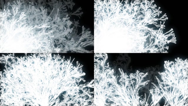 Christmas Transitions Stock Footage: Royalty-Free Video Clips - Storyblocks