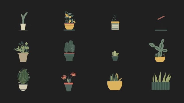 Royalty-Free Aloe Templates - Storyblocks