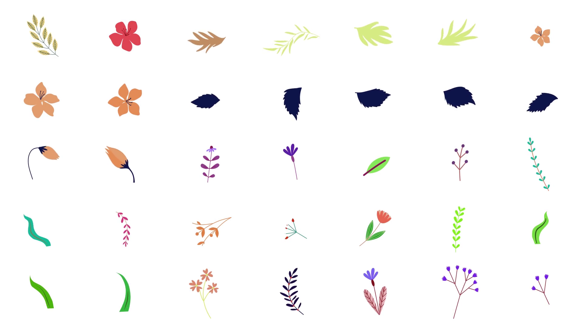 Animated Leaves Flowers Premiere Pro Template SBV-347231585 - Storyblocks