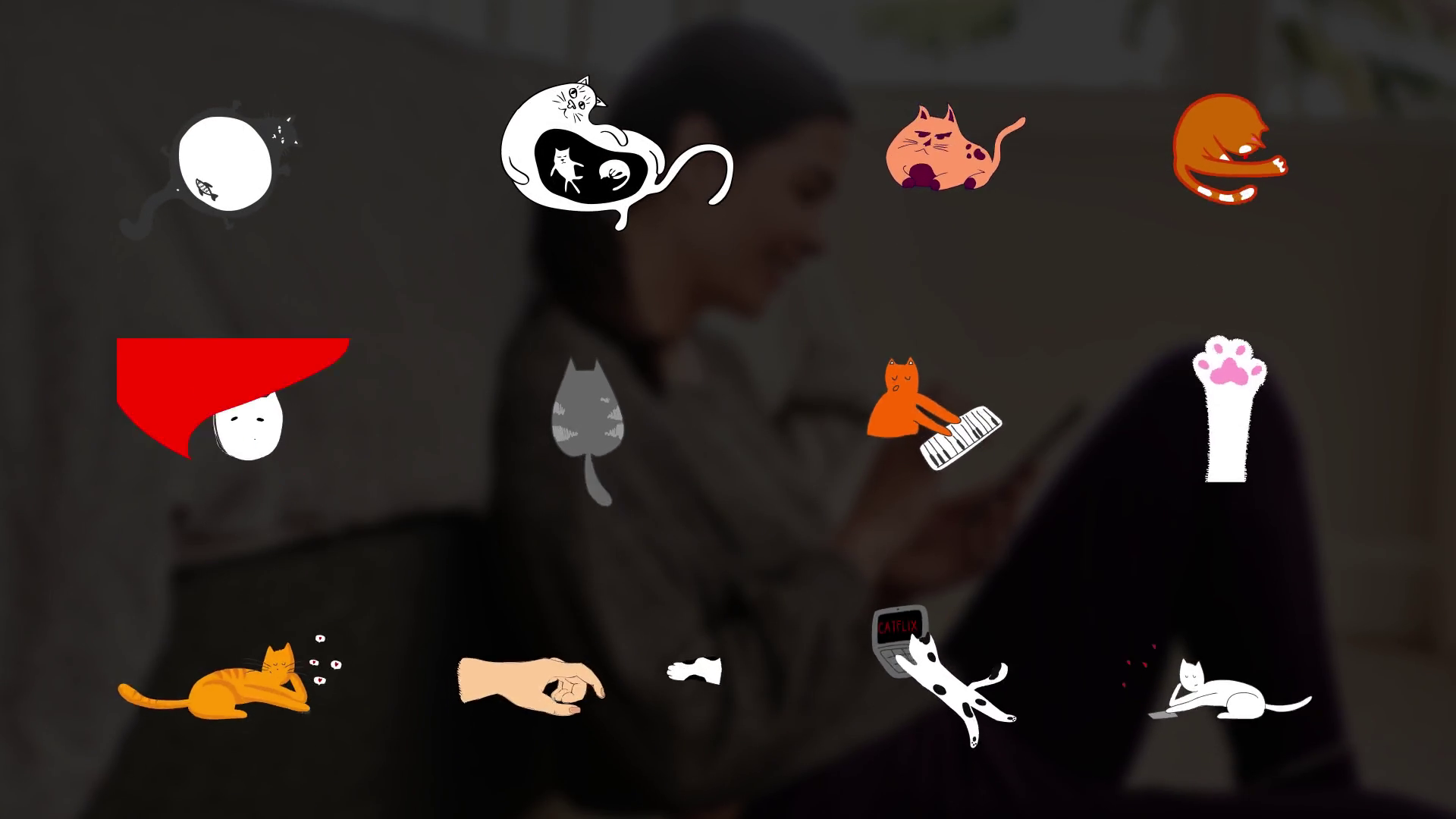 Cartoon Cats Animations | After Effects 01:07 SBV-346693445 - Storyblocks