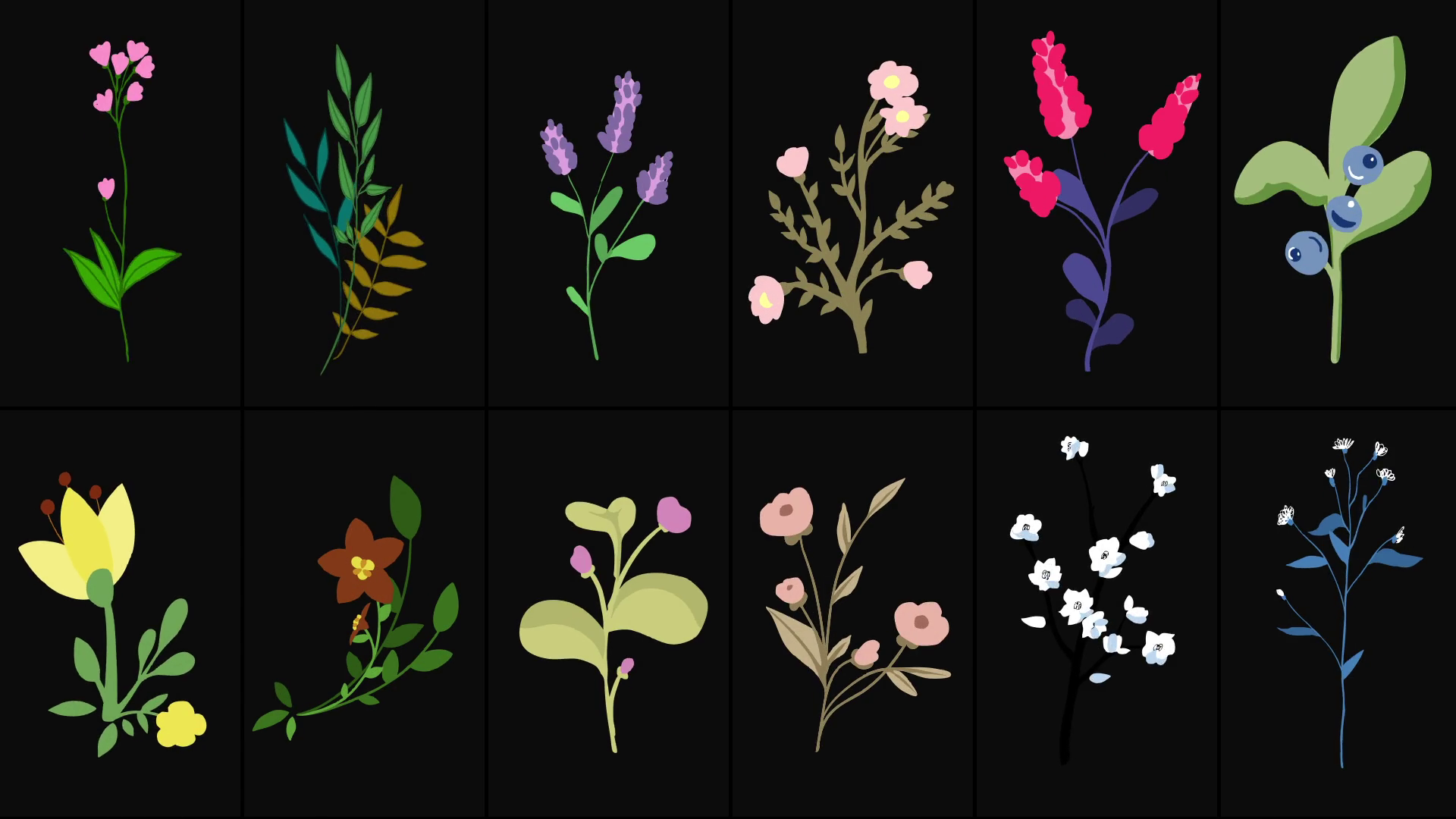 Cartoon Flowers Animations Premiere Pro Template SBV-347656396 ...