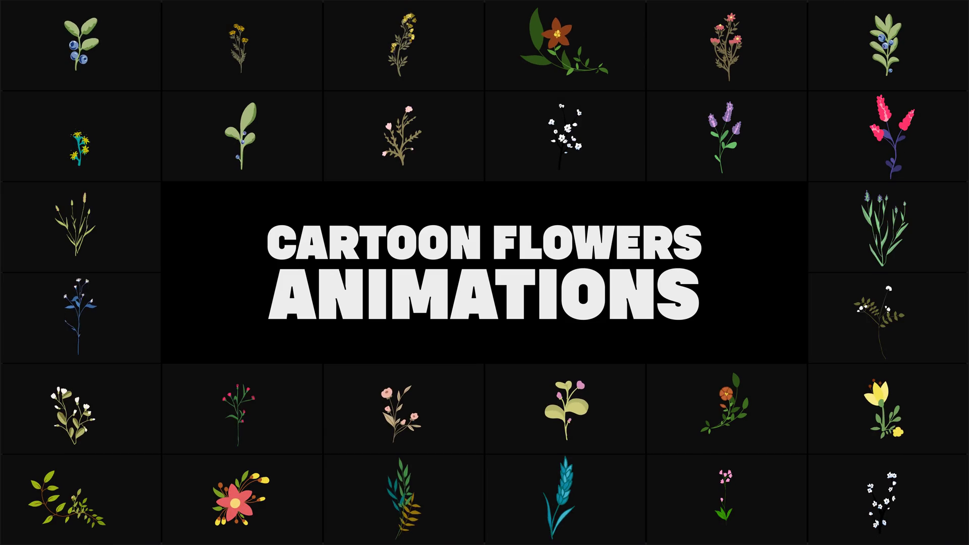 Colorful Cartoon Flower Animations Motion Stock Motion Graphics SBV-347656443 - Storyblocks