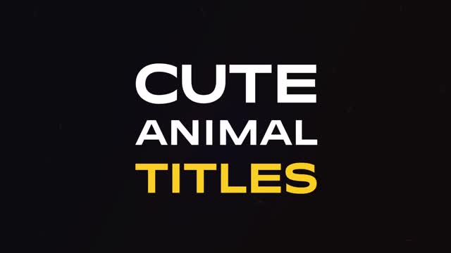 TITLES ANIMAL Templates Royalty-Free - Storyblocks