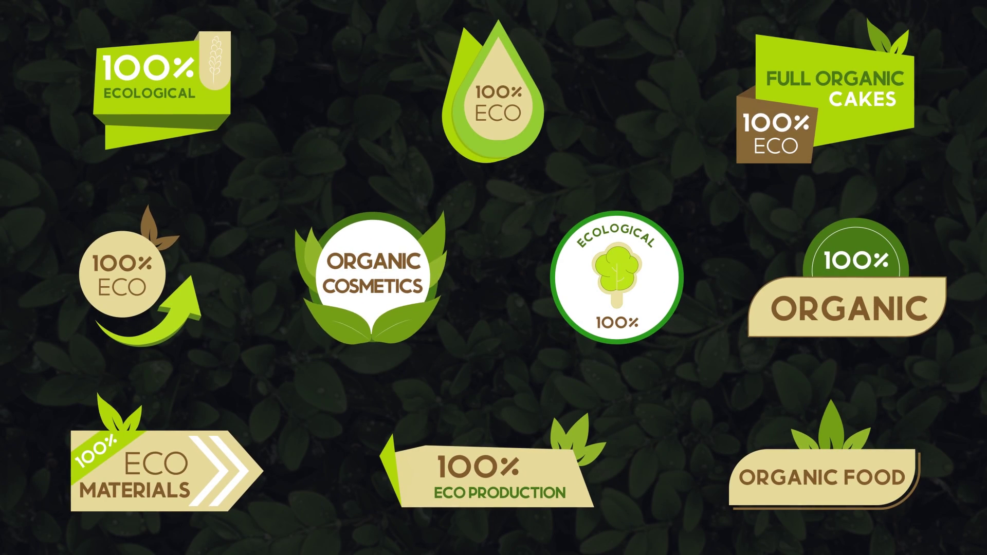 Ecological Titles | Premiere Pro Mogrt Template SBV-346679803 - Storyblocks