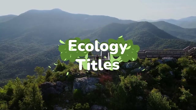 Green Templates Royalty-Free - Storyblocks