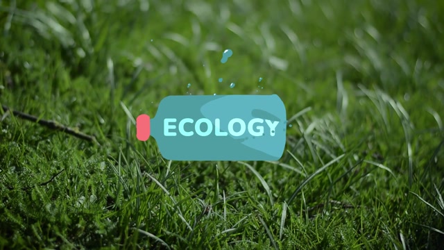 Ecology Templates Royalty-Free - Storyblocks
