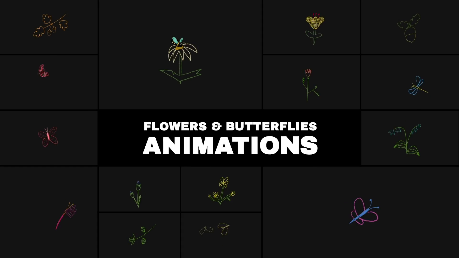 AE Template: Flowers Butterflies Animations Effects SBV-351952426 ...