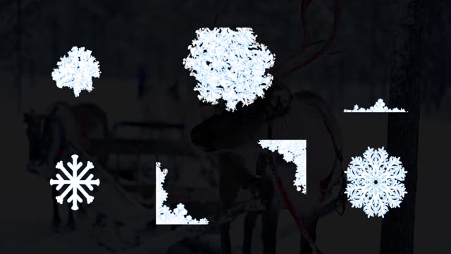 Snowflake Templates Royalty-Free - Storyblocks