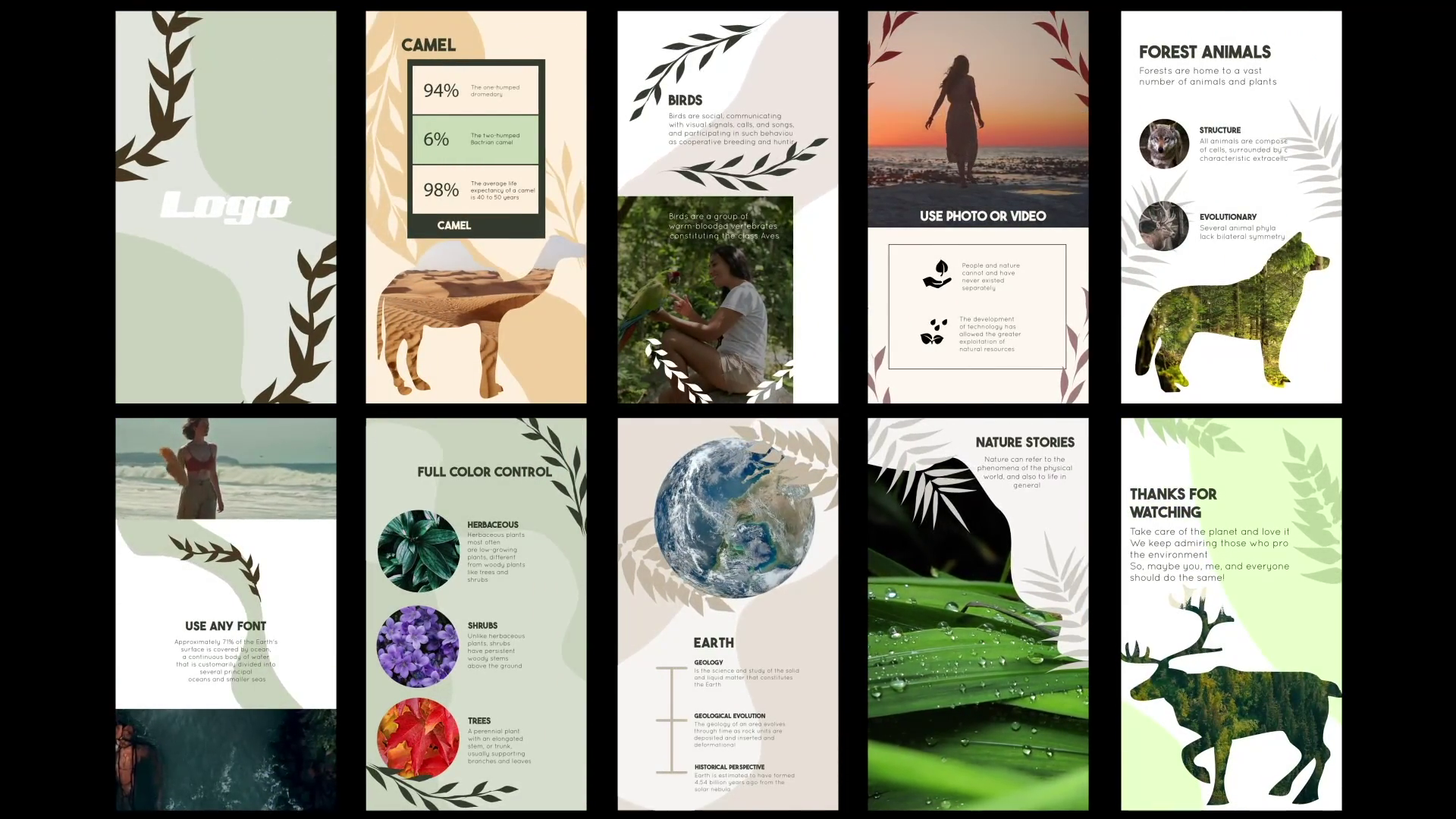 Nature Stories | Effects Template SBV-347453140 - Storyblocks