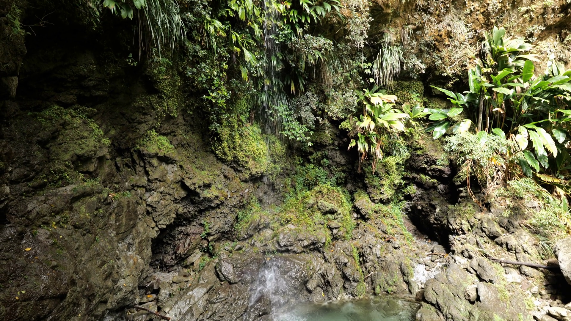 Waterfall Dripping Over Mossy Rock Wall With Stock Footage SBV ...