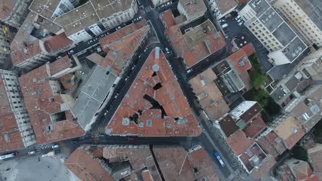 Triangle Tree Stock Footage: Royalty-Free Video Clips - Storyblocks