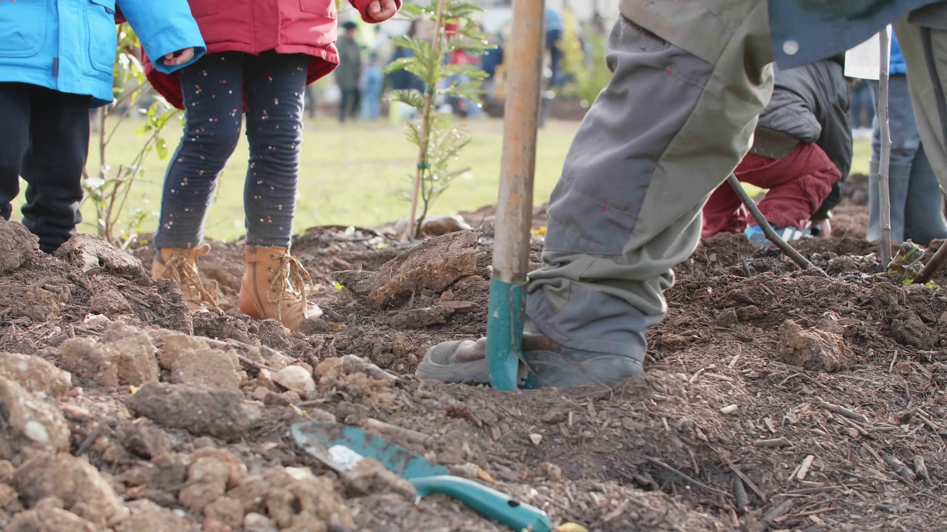 Community Planting Event In Action Kids Stock Footage SBV-348672596 ...