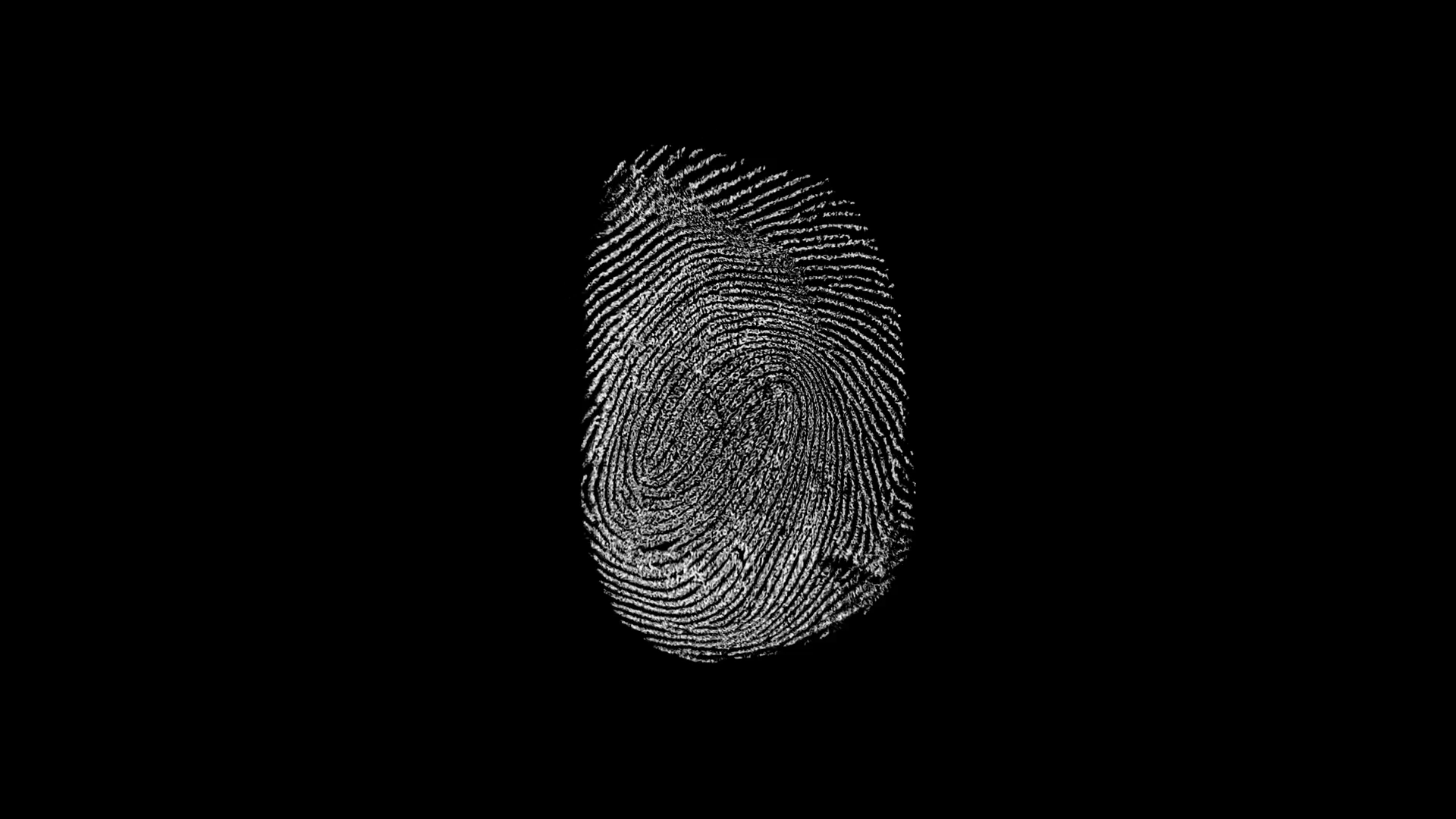 Fingerprint Database Scan Stock Motion Graphics SBV-334696740 - Storyblocks