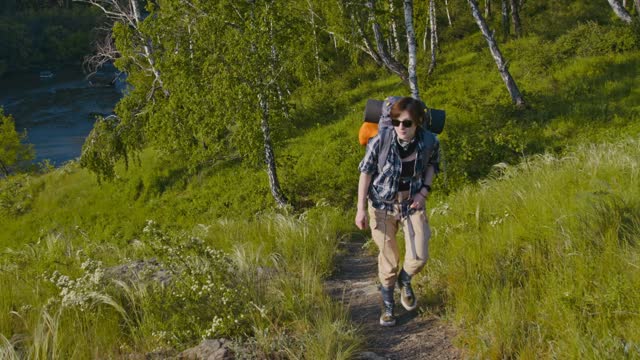 Forest Tracking Stock Footage: Royalty-Free Video Clips - Storyblocks