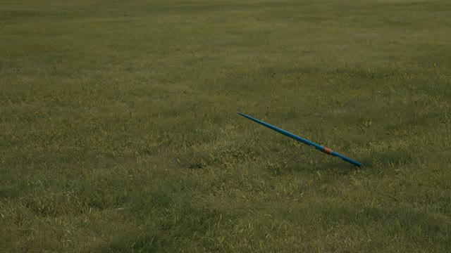 Fallen Limb Stock Footage: Royalty-Free Video Clips - Storyblocks