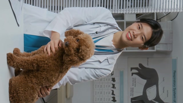 Doctor Happy Patient | Animals stock footage - Storyblocks