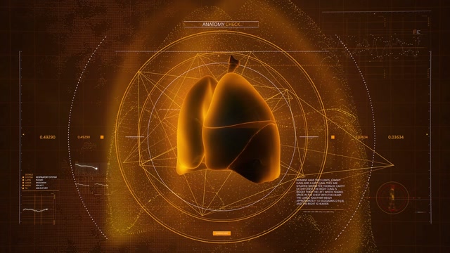 Human Lungs Breathing Animation Stock Footage: Royalty-Free Video Clips ...