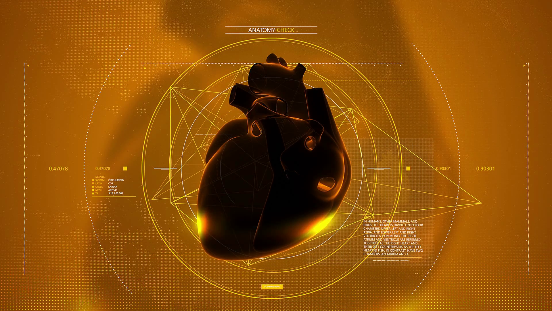 Computer generated medical background with human heart rotating and ...