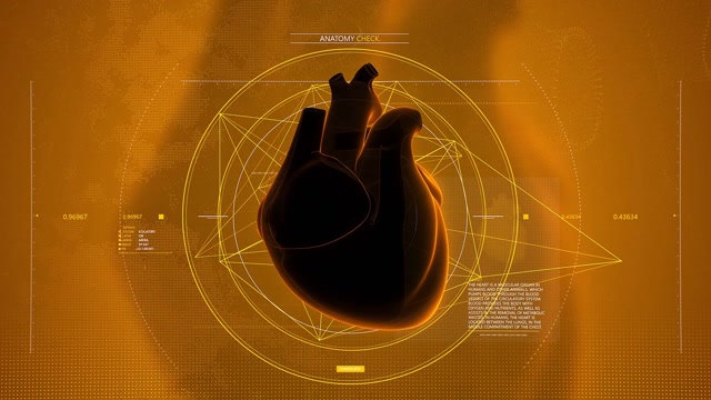 Heart Loop Stock Footage: Royalty-Free Video Clips - Storyblocks