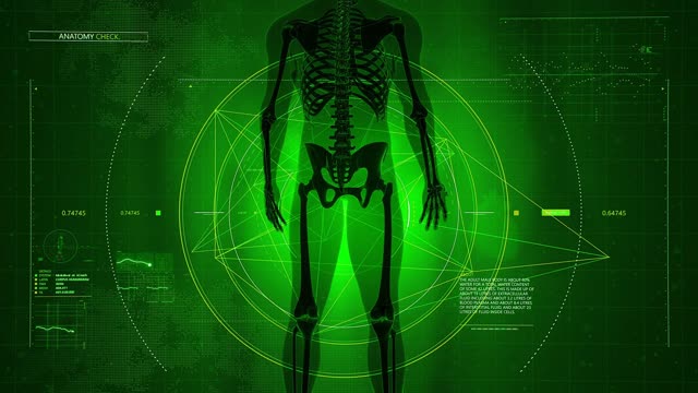 Rotating Skeleton Stock Footage: Royalty-Free Video Clips - Storyblocks