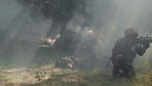 Special Forces Forest Stock Footage: Royalty-Free Video Clips - Storyblocks