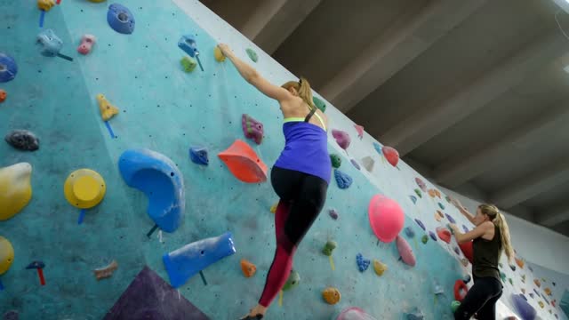 Two Ponytails Stock Footage: Royalty-Free Video Clips - Storyblocks