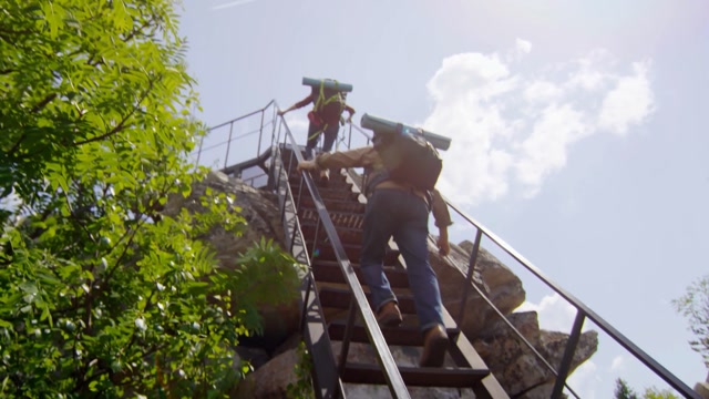 Climbing Stairs Senior Stock Footage: Royalty-Free Video Clips ...