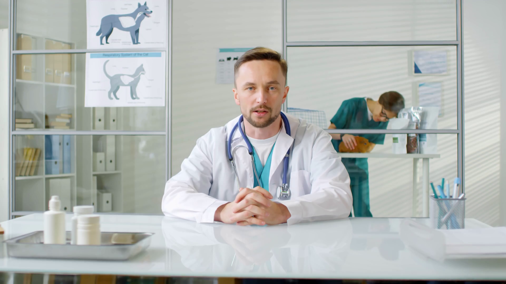 Medium Shot Of Male Veterinarian Sitting At Stock Footage SBV-331753033 ...